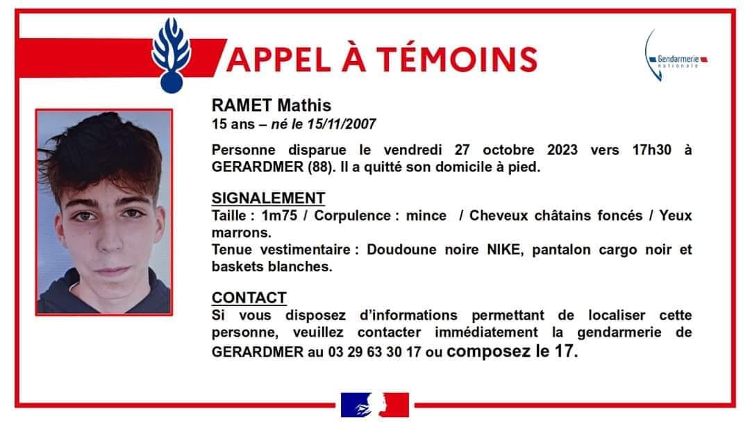 Lorraine : un adolescent disparu retrouvé pendu dans la forêt